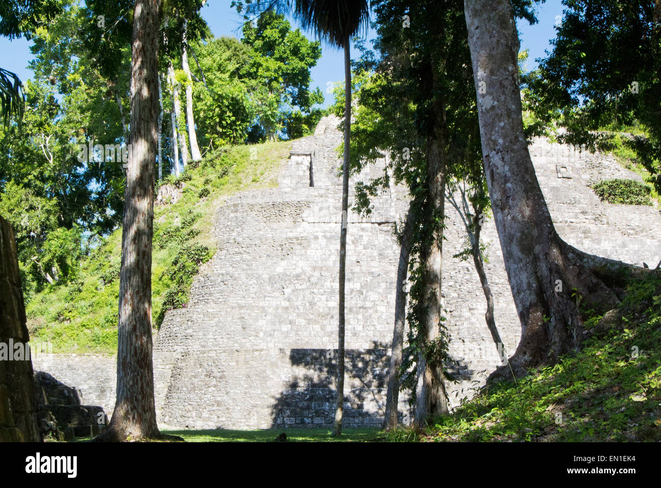 Ancient Mayan pyramid at the jungle site of Yaxha, Peten, Guatemala ...