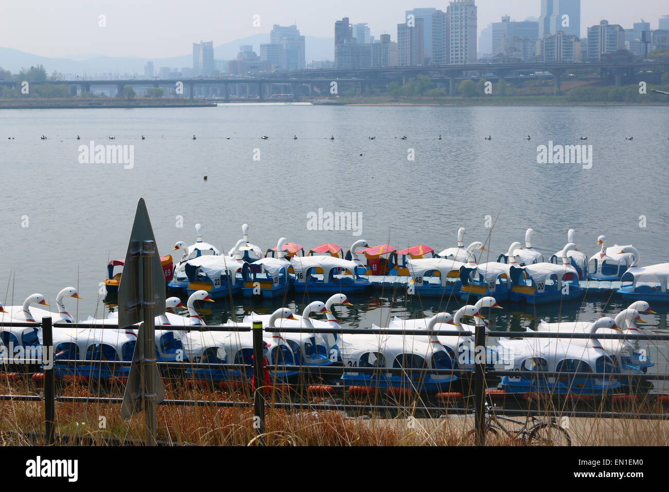 Duck Boats on the Han River in Seoul, Korea Stock Photo - Alamy