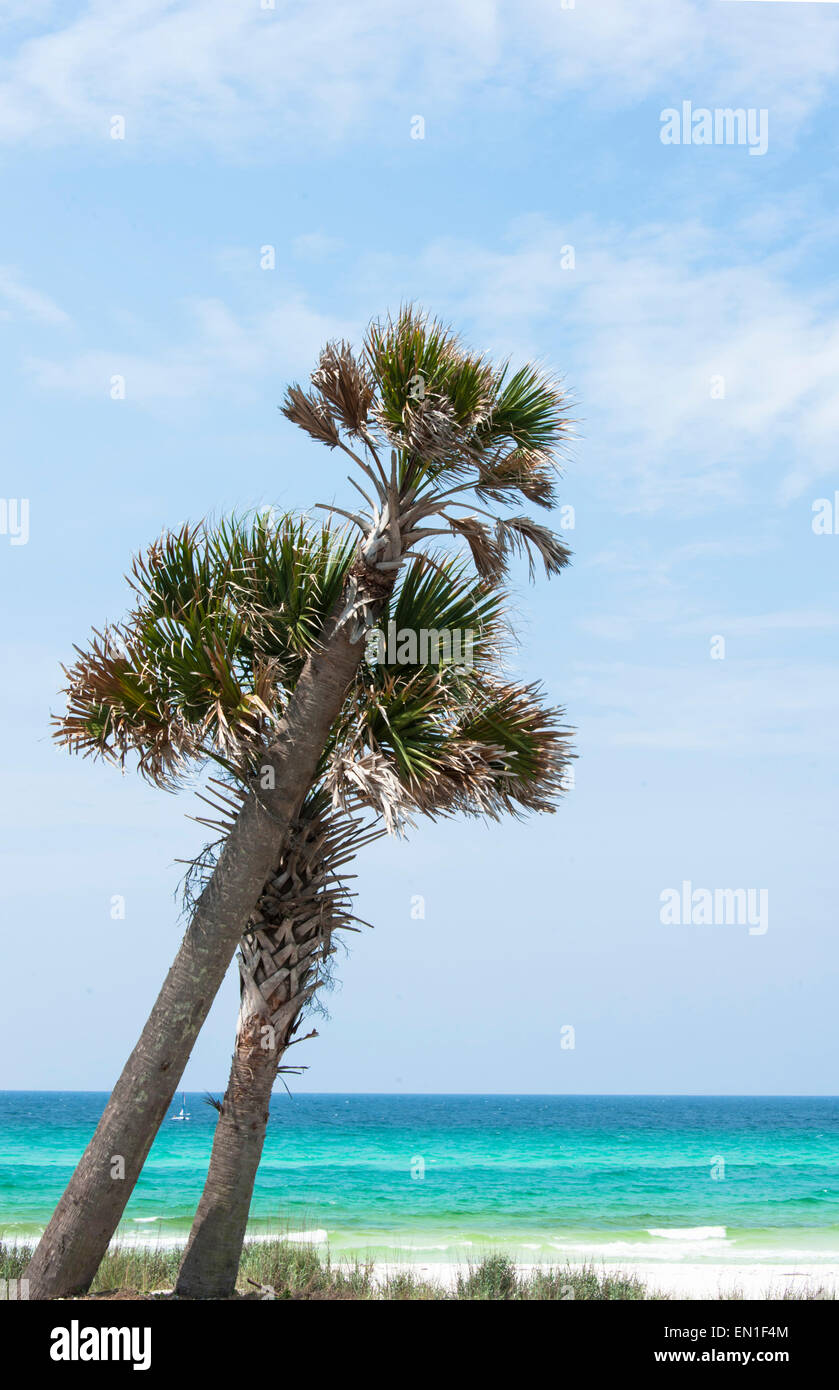 Emerald coast beach hi-res stock photography and images - Alamy
