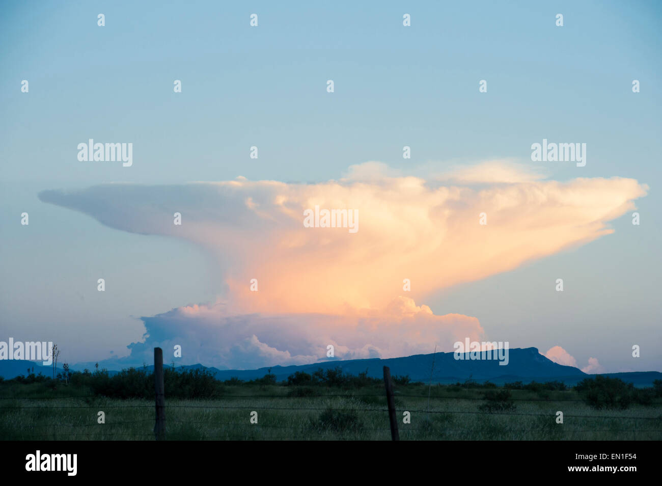 Thunderstorm - Cumulonimbus - Anvil Stock Photo - Alamy