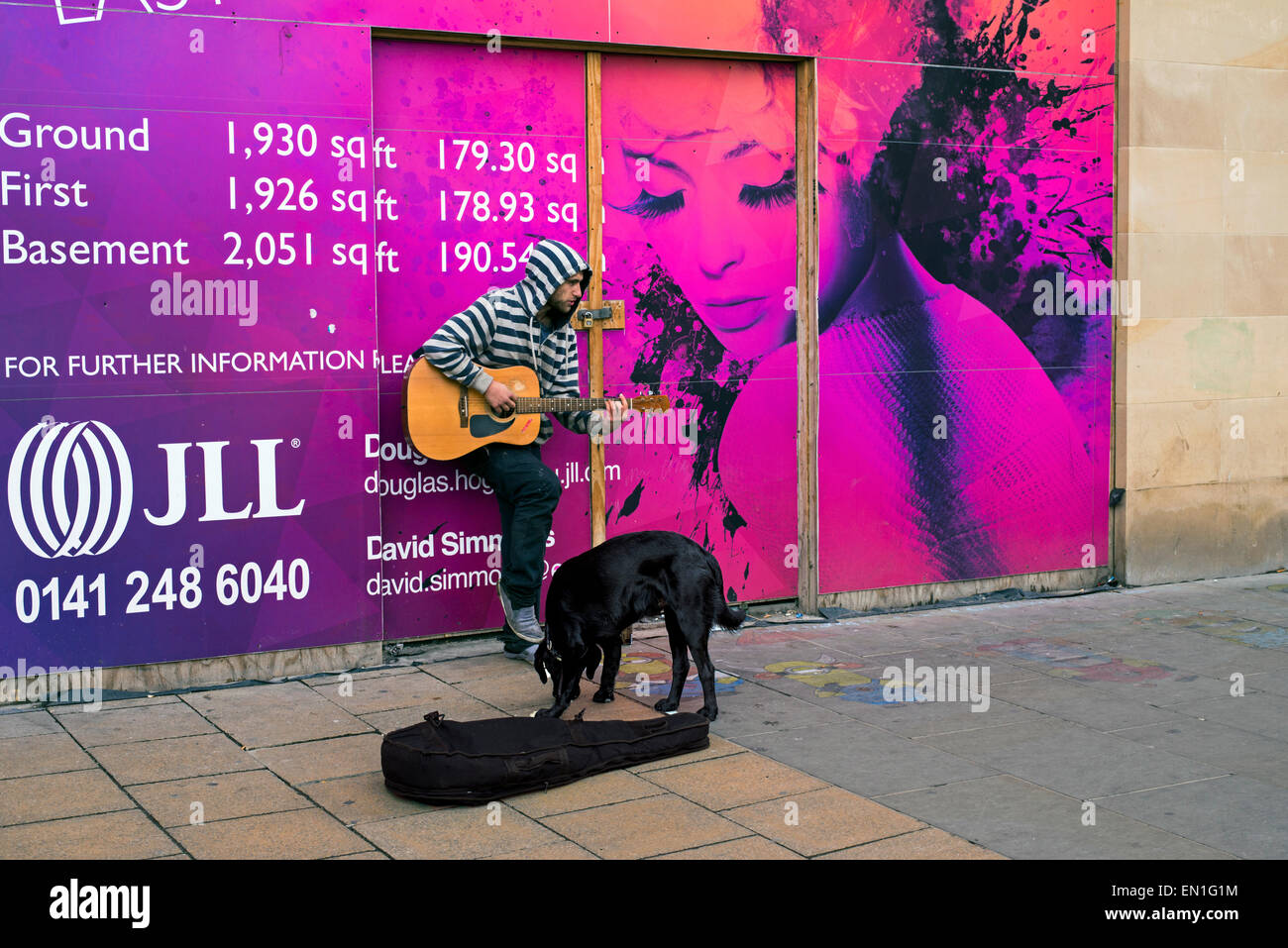 Scotland busker dog hi-res stock photography and images - Alamy