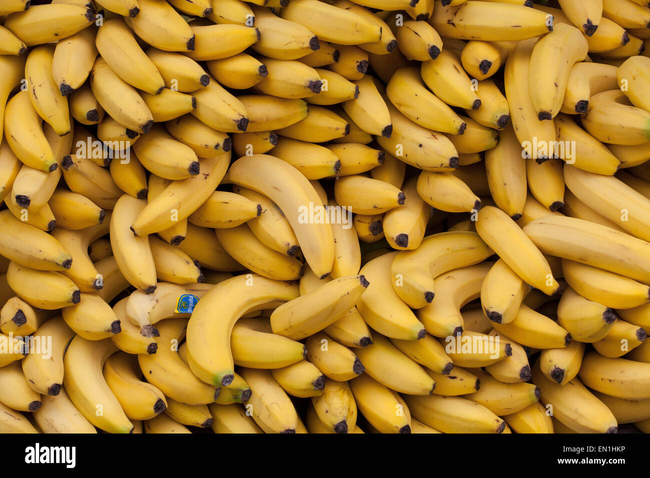 Nashville, Tennessee, USA. 25th Apr, 2015. Stacks of bananas await ...