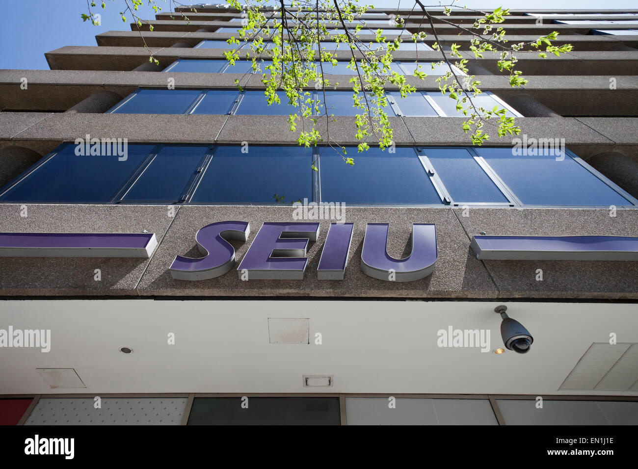 Service Employees International Union High Resolution Stock Photography ...