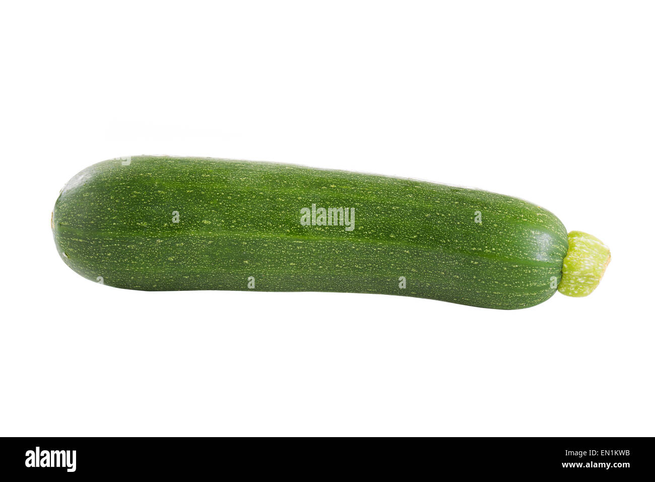 Close up of a single fresh green zucchini isolated on white background ...