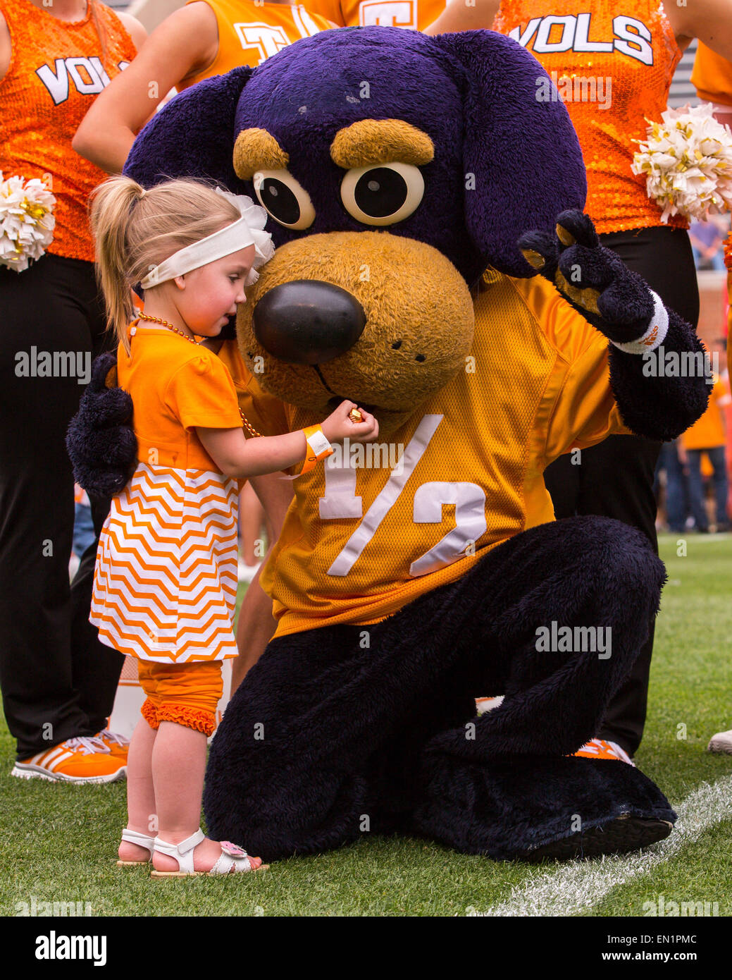 University of tennessee smokey hi-res stock photography and images - Alamy