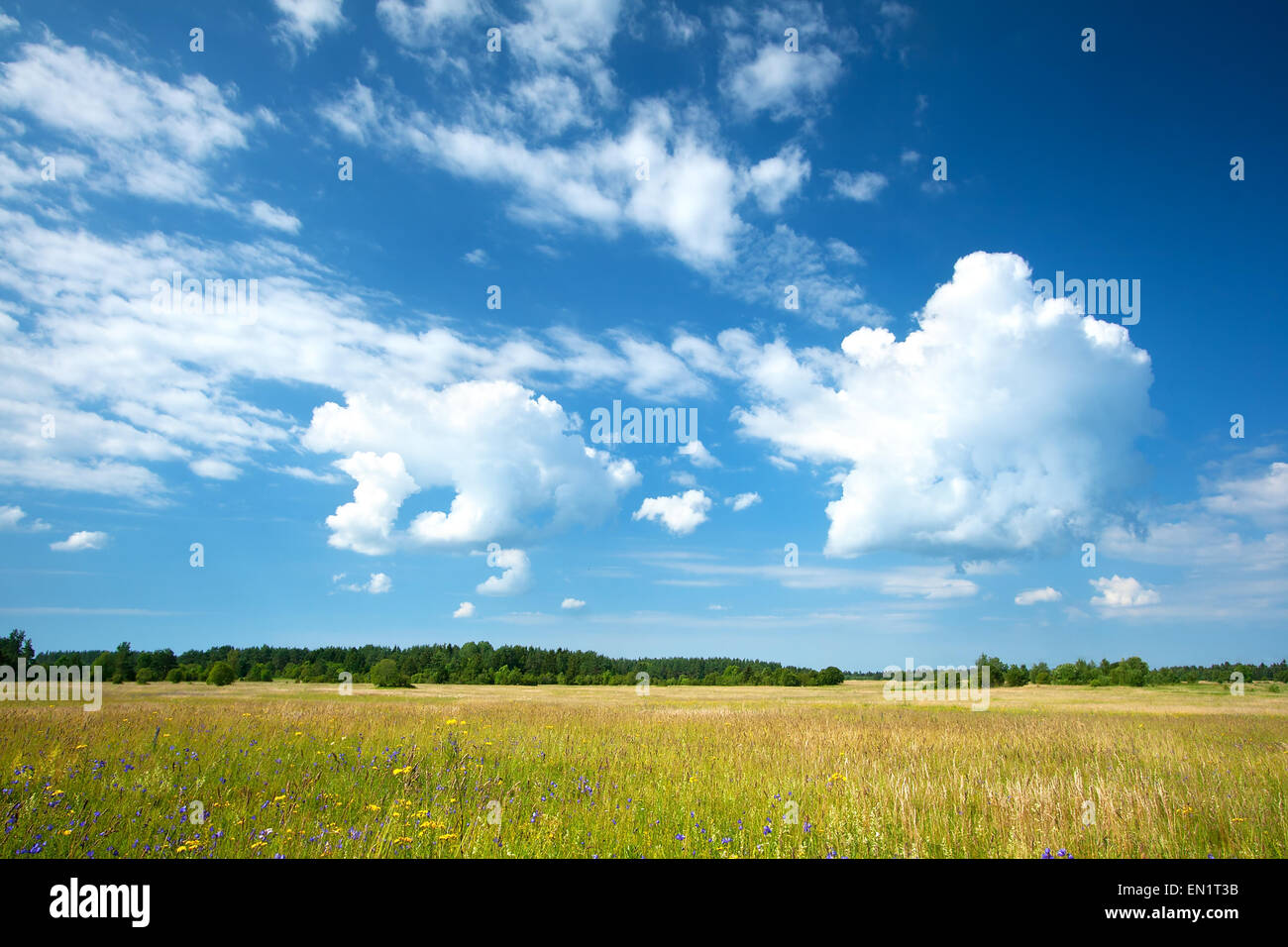 field and beautiful cloudy sky Stock Photo - Alamy
