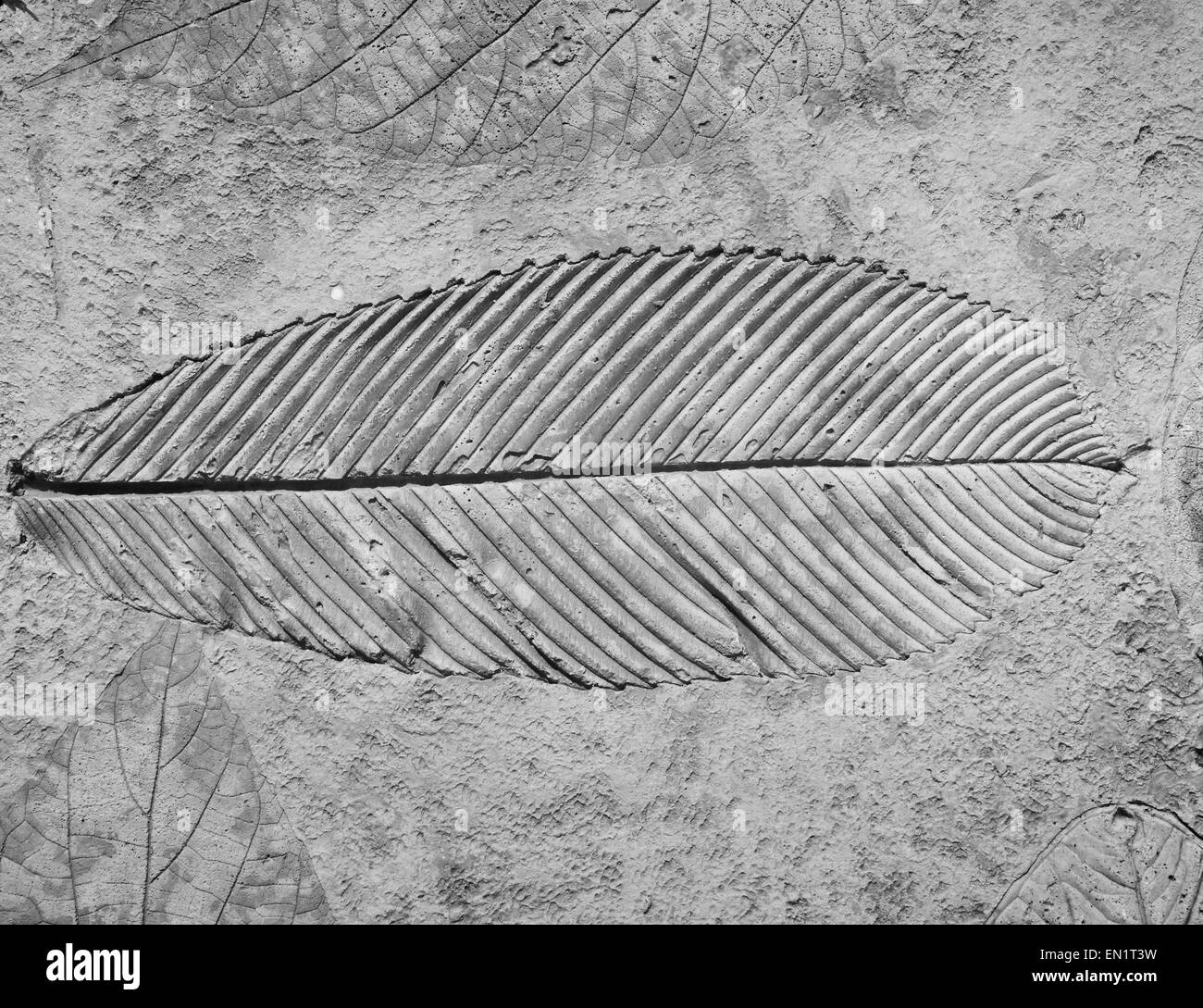 Cement imprint hi-res stock photography and images - Alamy