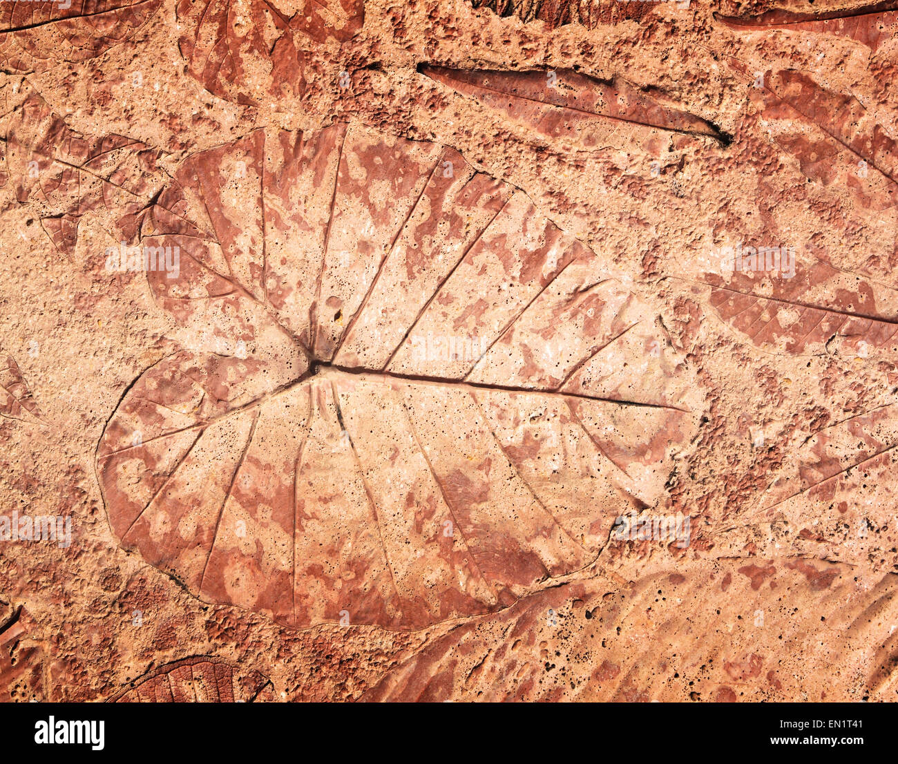 Leaf Cement Floor pattern background texture Stock Photo - Alamy