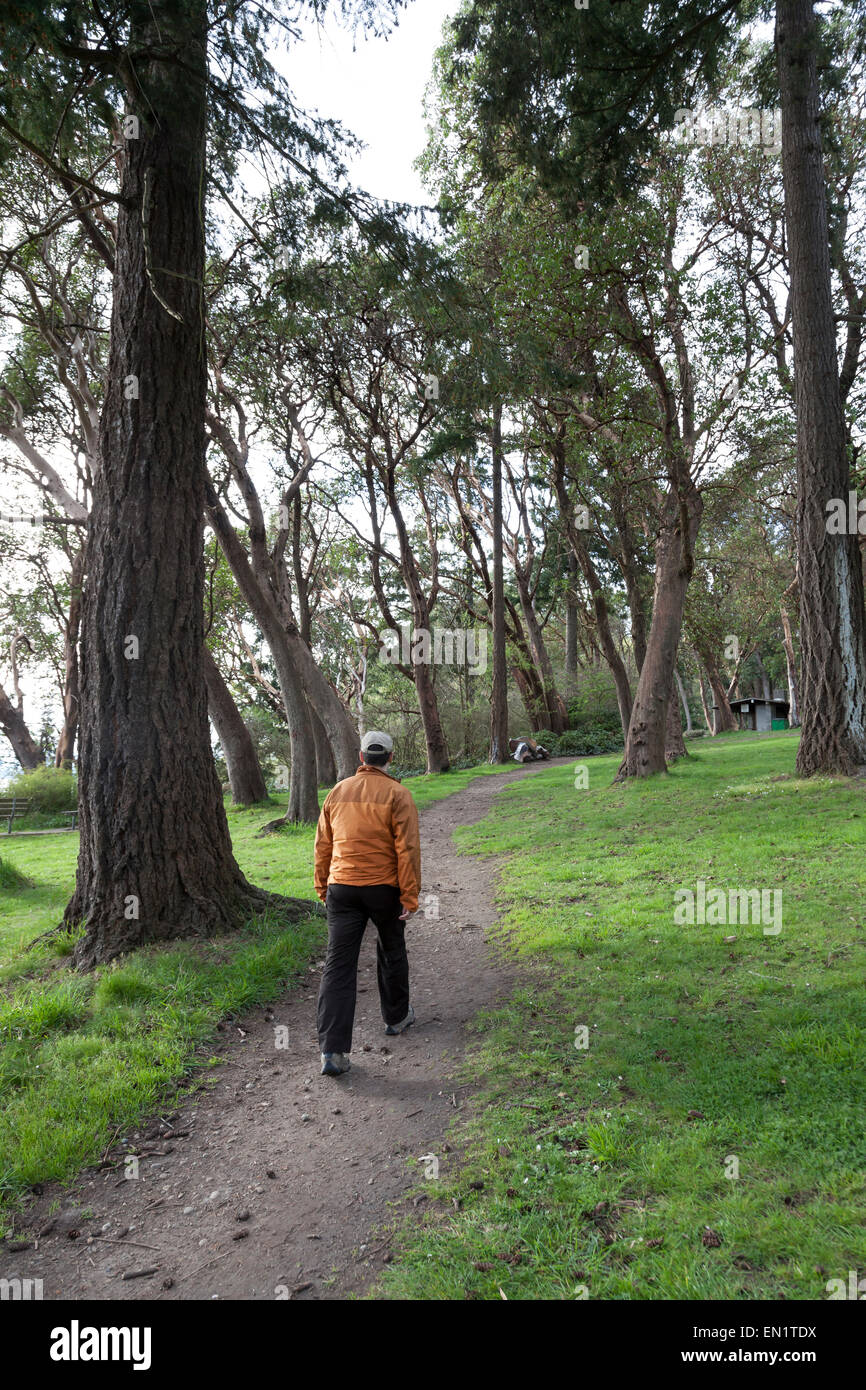 Man walking along the bluff trail in Lincoln Park - West Seattle ...