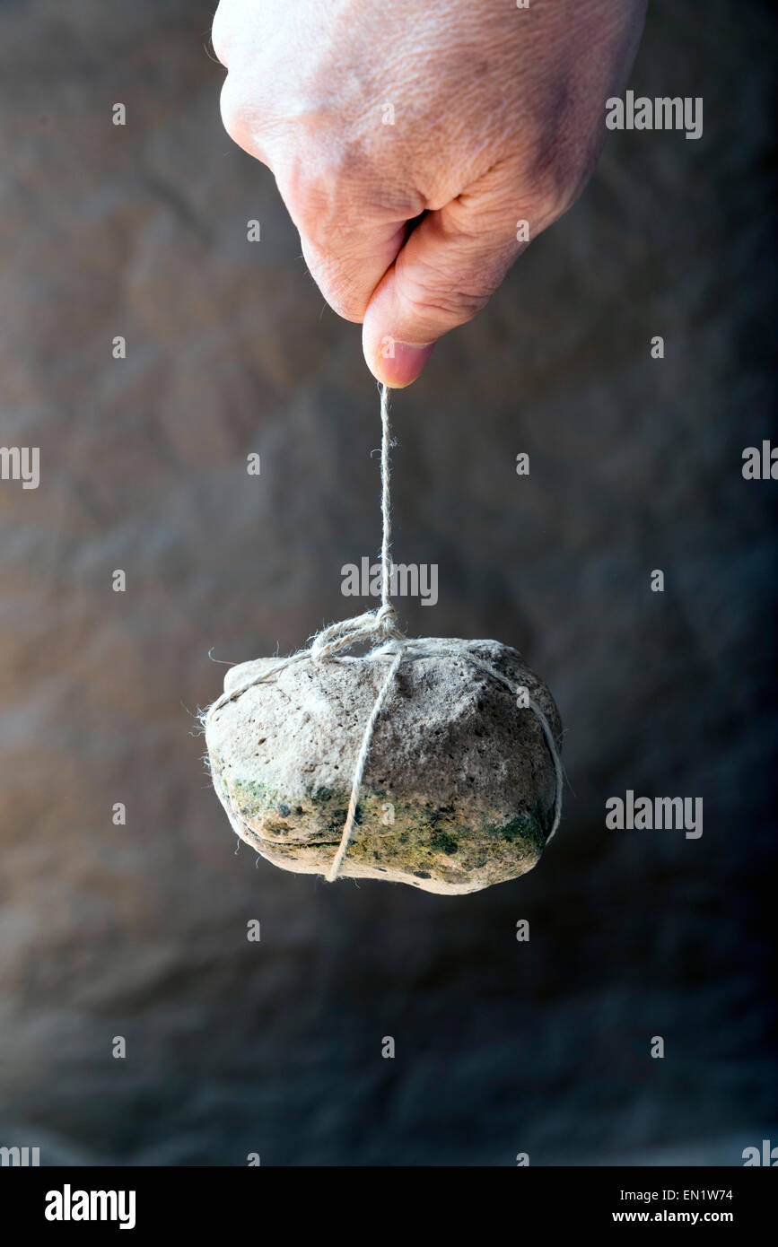 plummet. Hand holding a plumb Stock Photo - Alamy