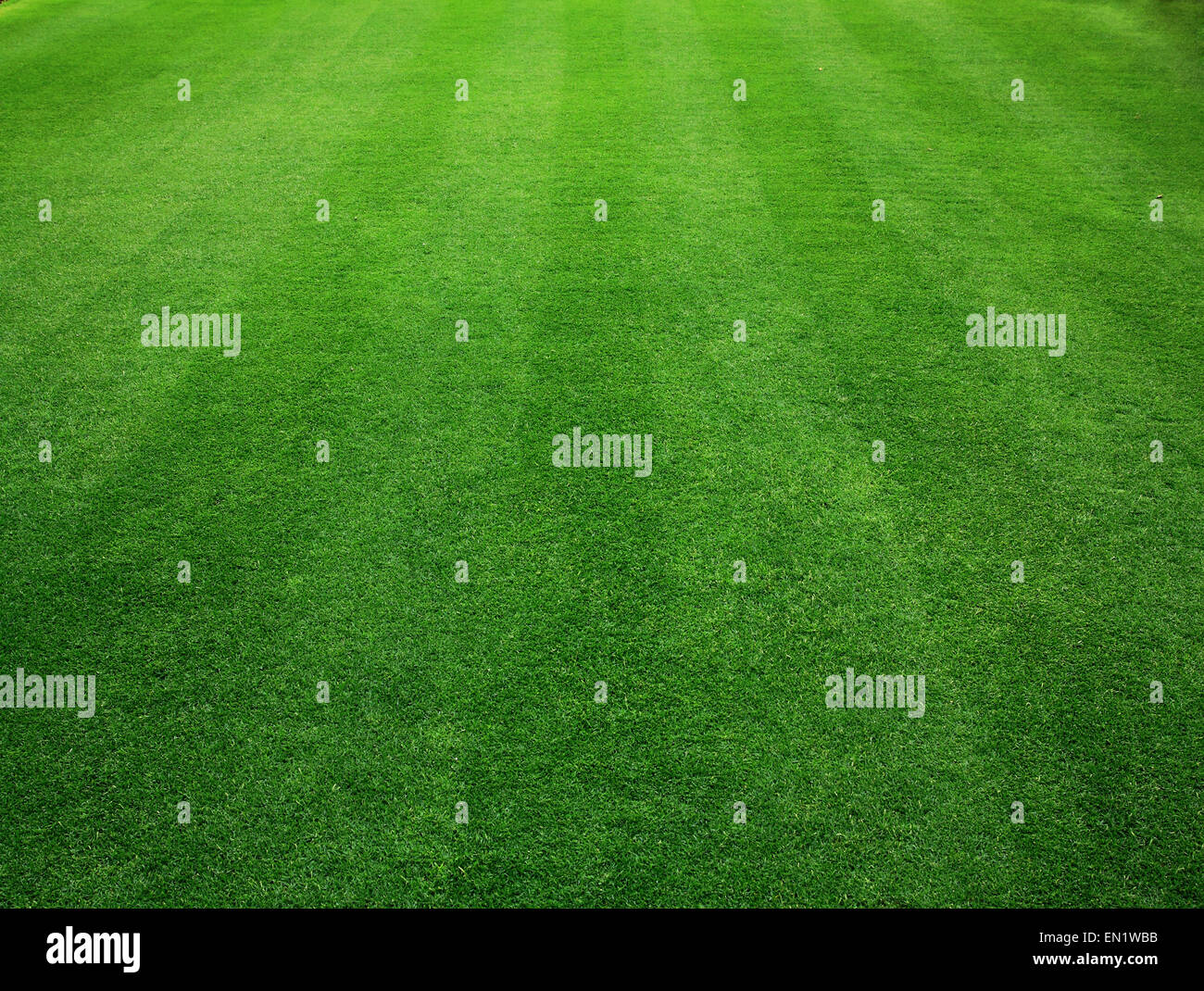 Golf green grass background texture pattern nature Stock Photo - Alamy