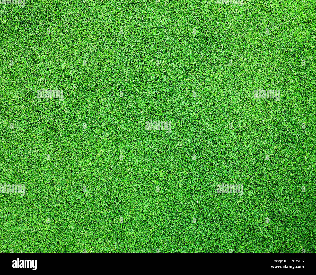 Golf green grass background texture pattern nature Stock Photo - Alamy