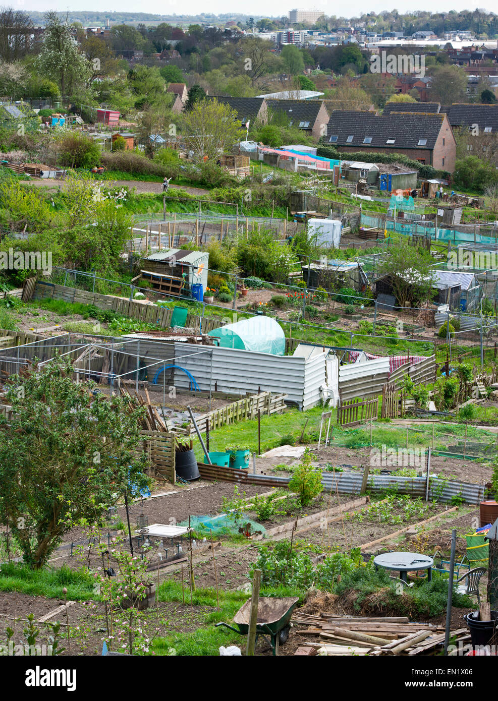 Town allotment hi-res stock photography and images - Alamy
