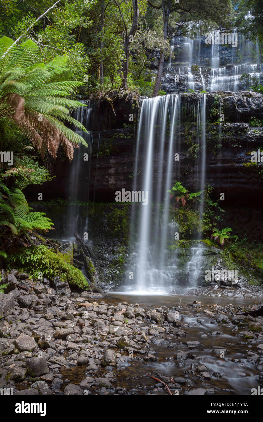 Russell Falls, Tasmania, Australia Stock Photo - Alamy