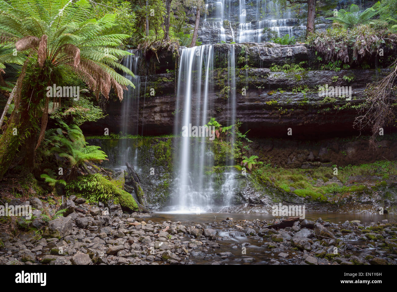 Russell Falls, Tasmania, Australia Stock Photo - Alamy