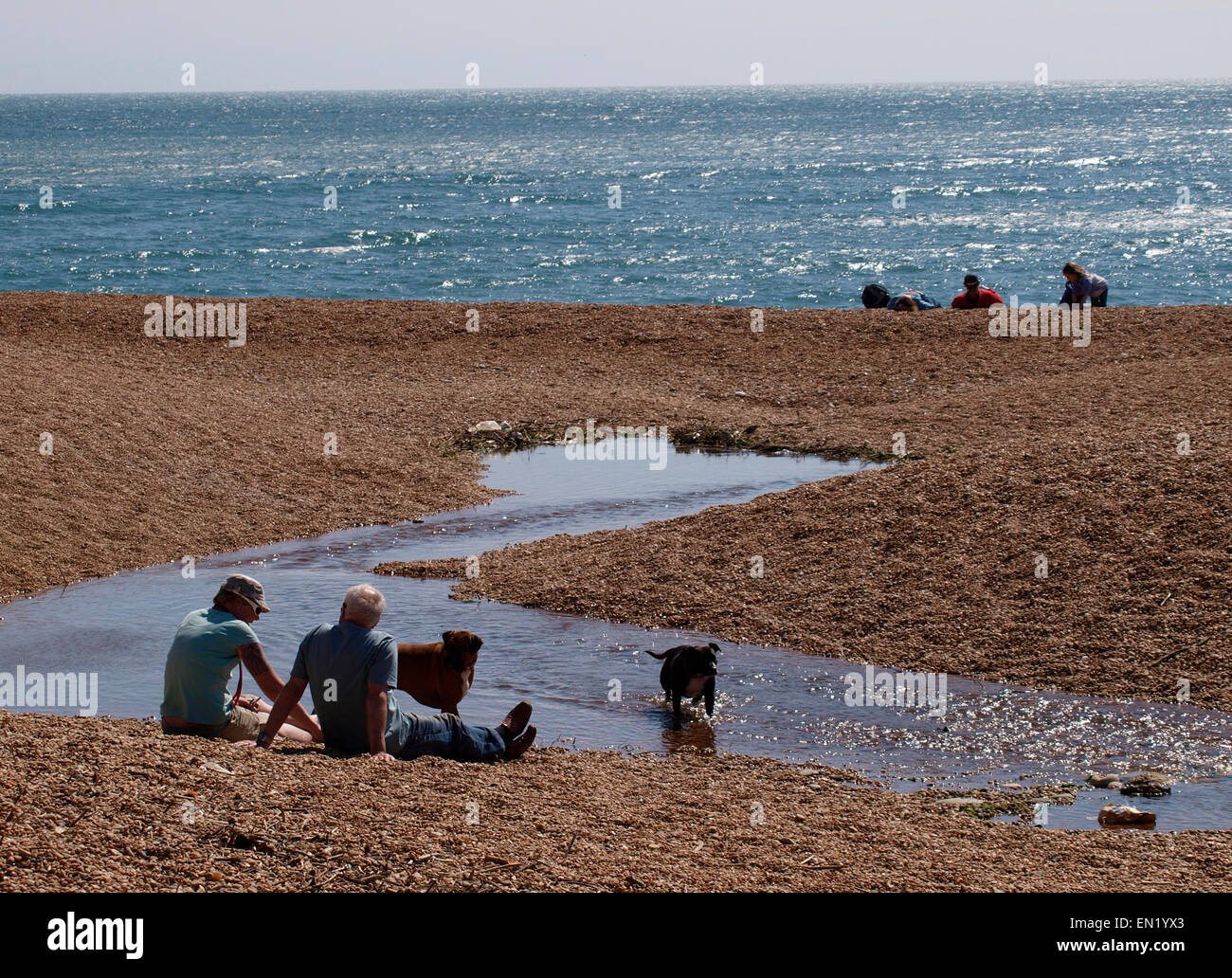 People enjoying summer day beach hi-res stock photography and images ...