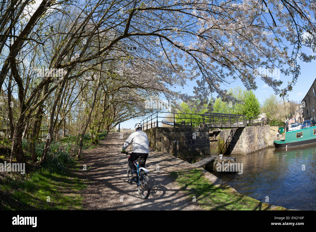 Trees overhanging the canal hi-res stock photography and images - Alamy