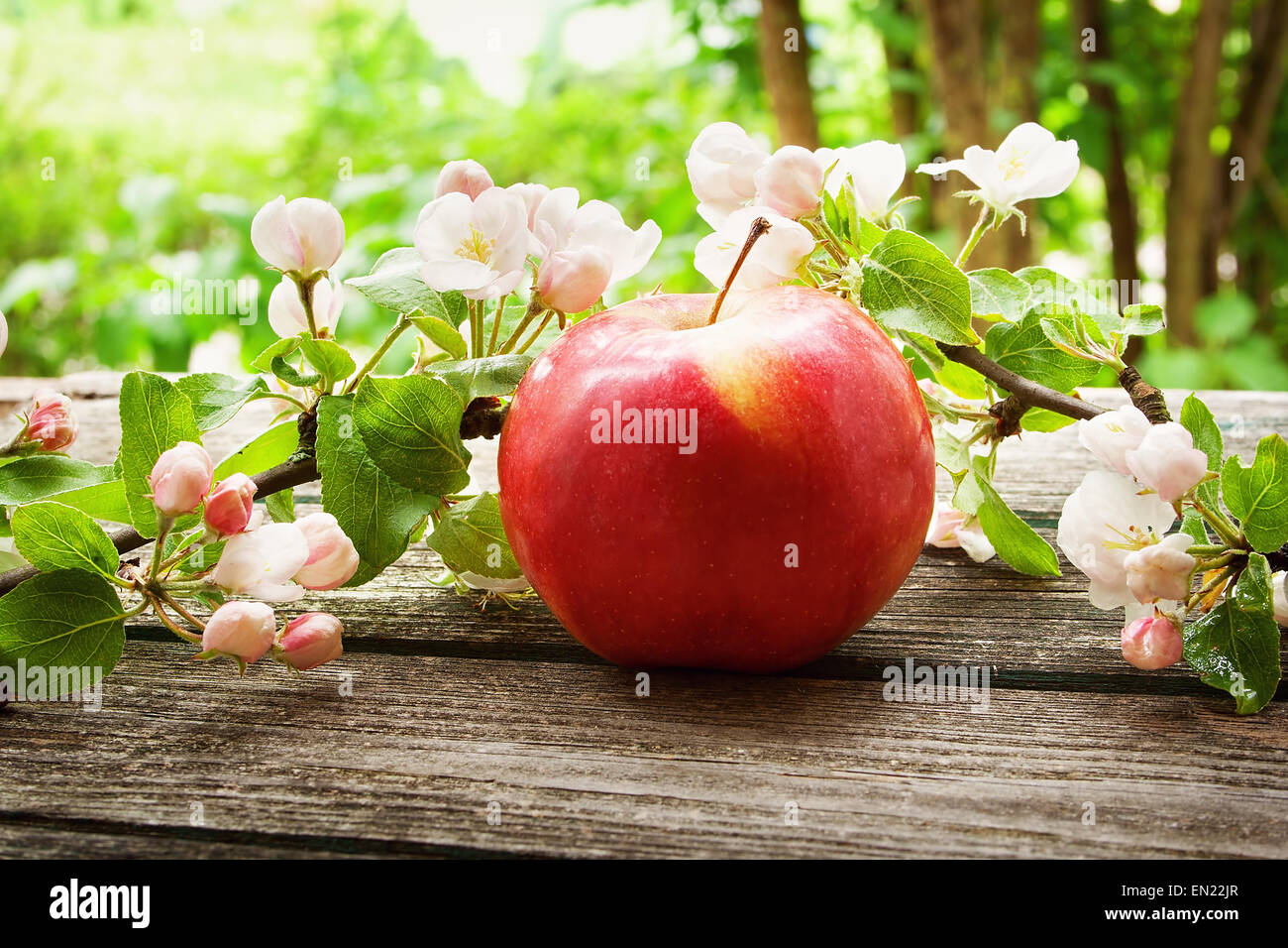 Apple with flowers Stock Photo - Alamy