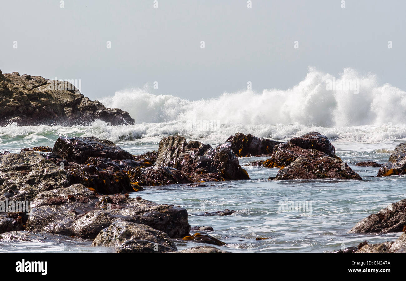 Beautiful Seascapes in South Cornwall UK Stock Photo - Alamy