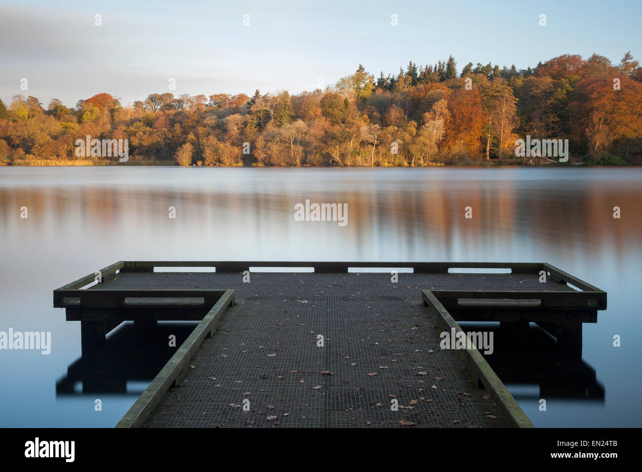 Trees next to a lake in the colours of Autumn Stock Photo - Alamy