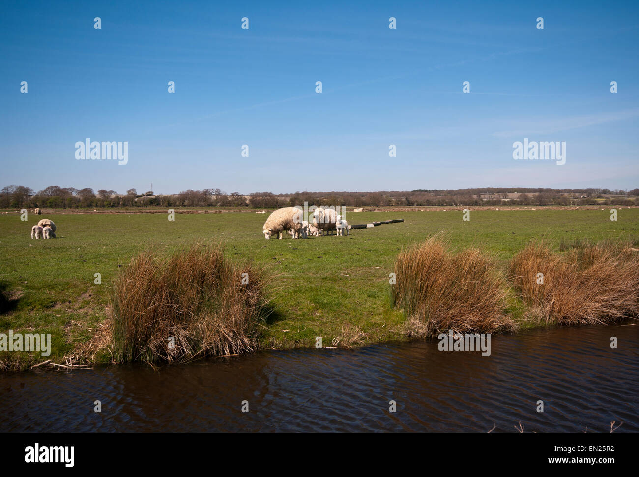 Brenzett kent hi-res stock photography and images - Alamy