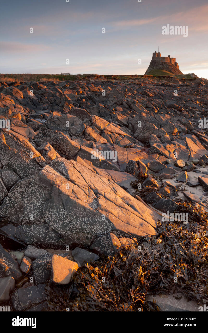 Holy island lindisfarne dawn hi-res stock photography and images - Alamy