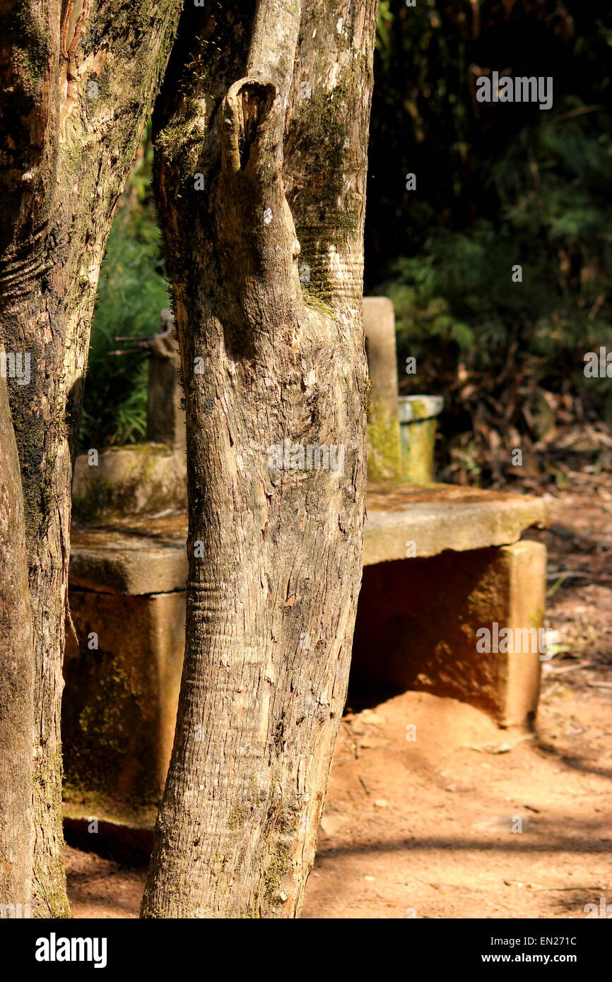 Old broken bench hi-res stock photography and images - Alamy
