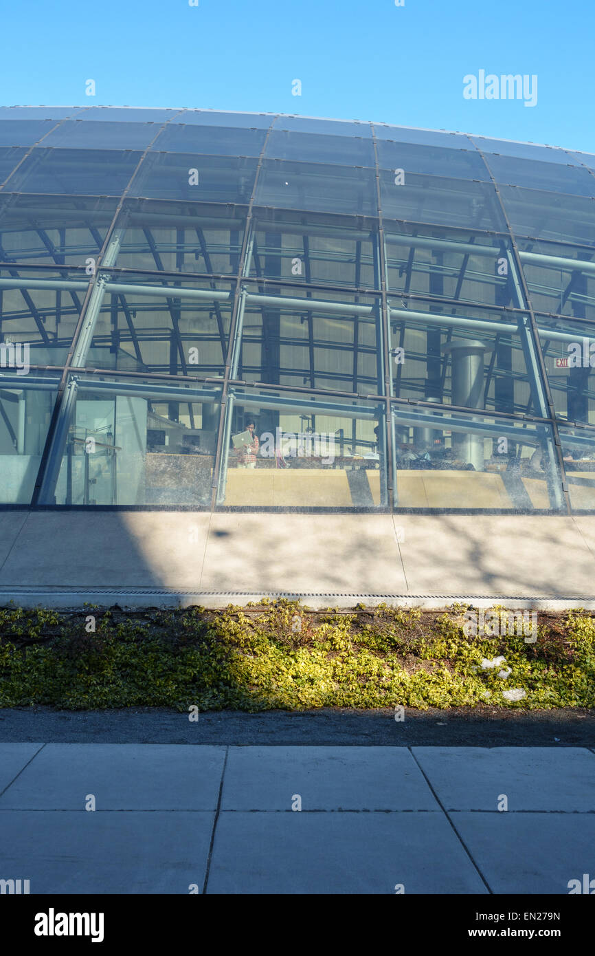 Glass roof of the Mansueto library at the University of Chicago in ...