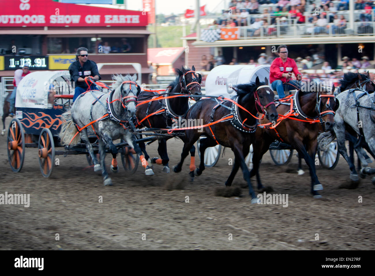 Calgary stampede chuckwagon hi-res stock photography and images - Alamy