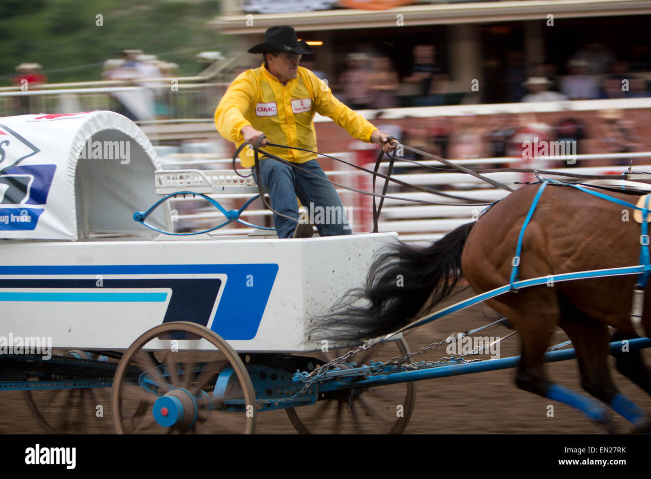 Horse cart racing america hi-res stock photography and images - Alamy
