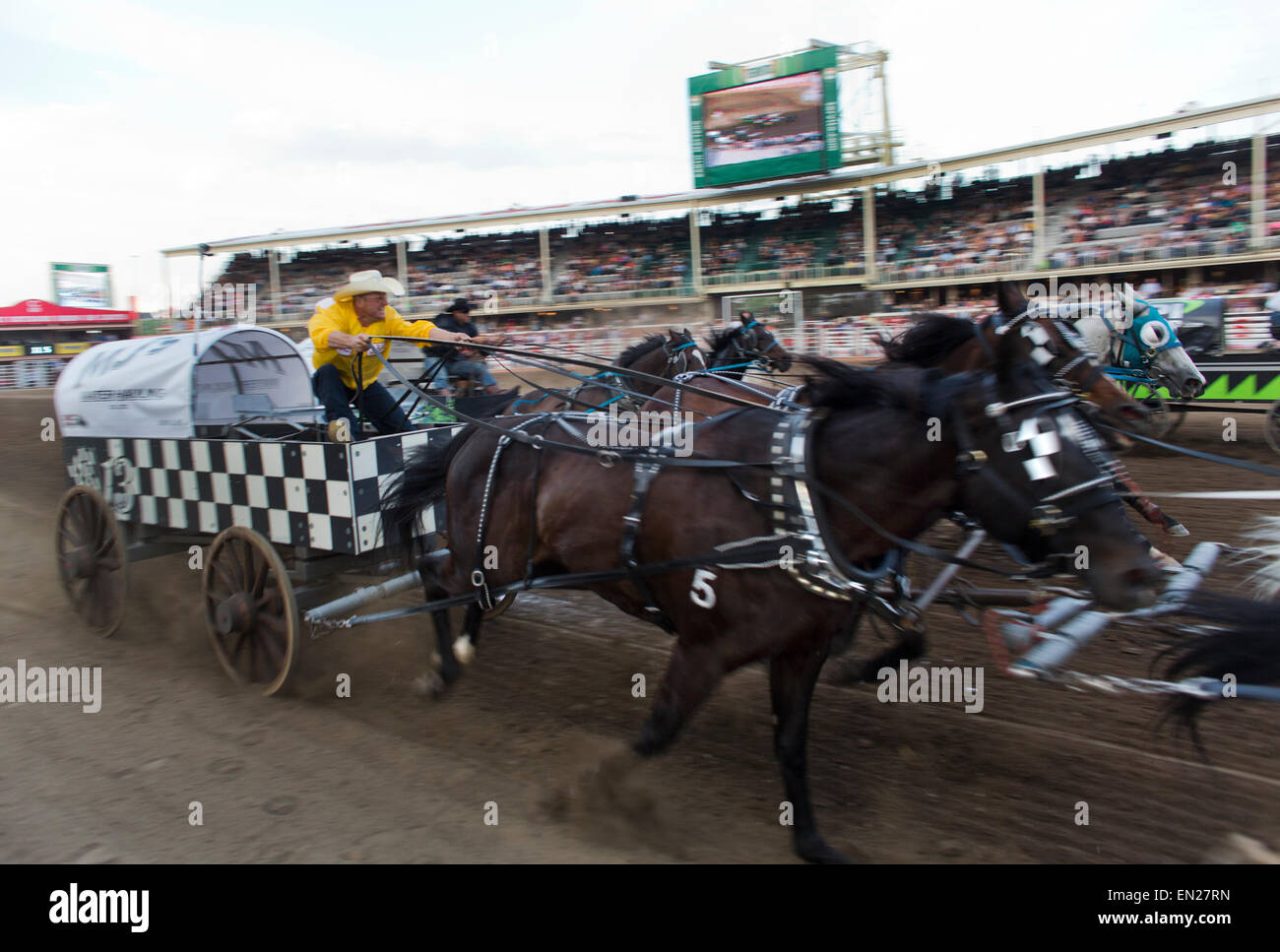 Horse cart racing america hi-res stock photography and images - Alamy