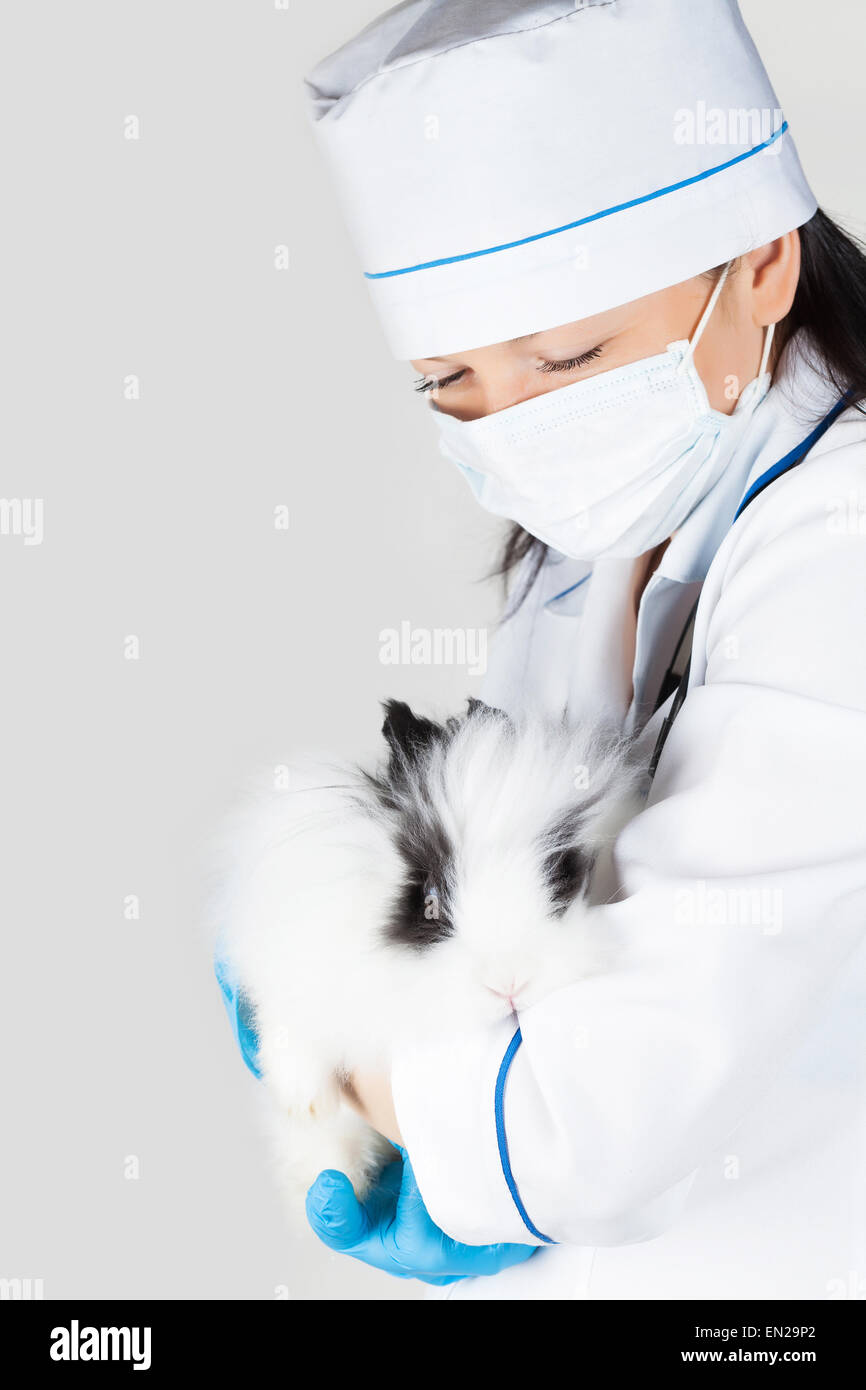 doctor with a decorative white rabbit in hands Stock Photo - Alamy