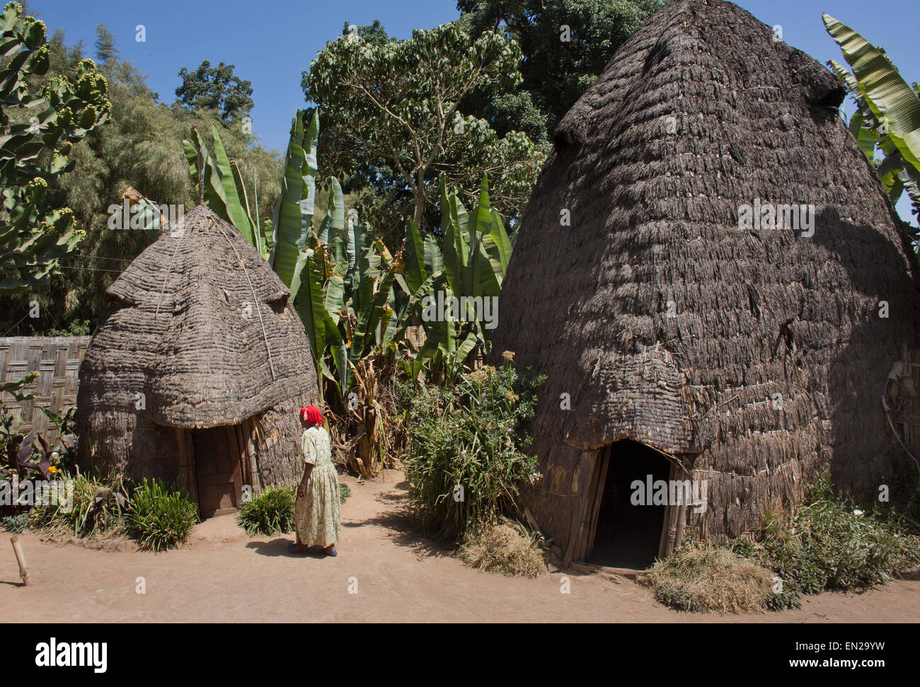 dorze tribe in Ethiopia Stock Photo - Alamy