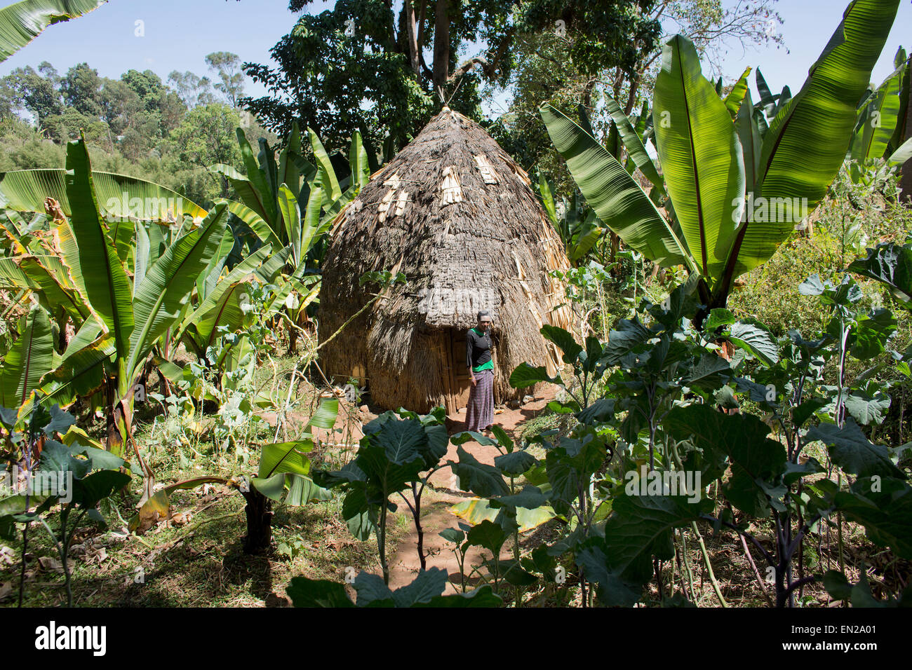 dorze tribe in Ethiopia Stock Photo - Alamy