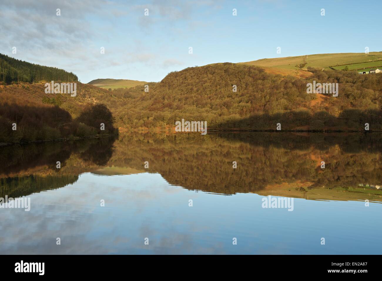A colour image of the morning refection into Garreg Ddu reservoir in ...