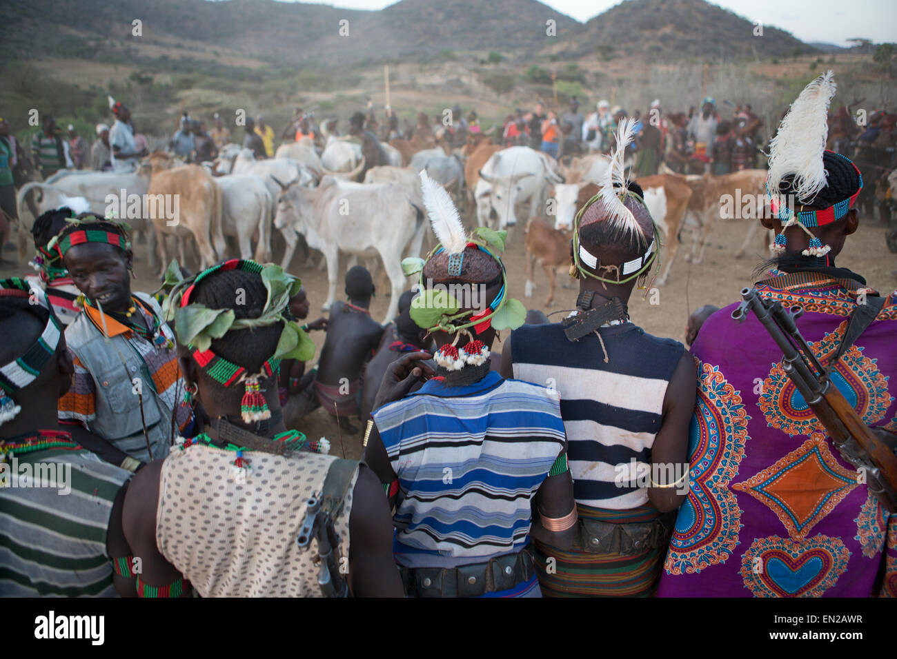 cow jumping by the Hamer tribe Stock Photo - Alamy