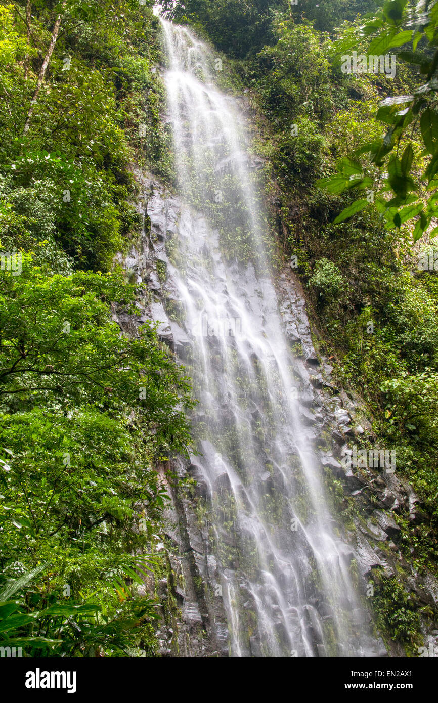 La Fortuna Waterfall in Arenal National Park, Costa Rica Stock Photo ...