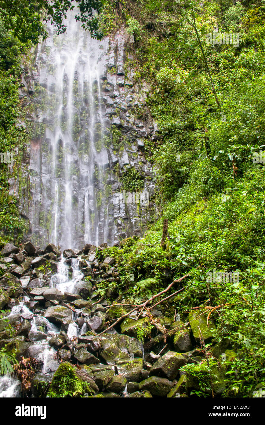 La Fortuna Waterfall in Arenal National Park, Costa Rica Stock Photo ...