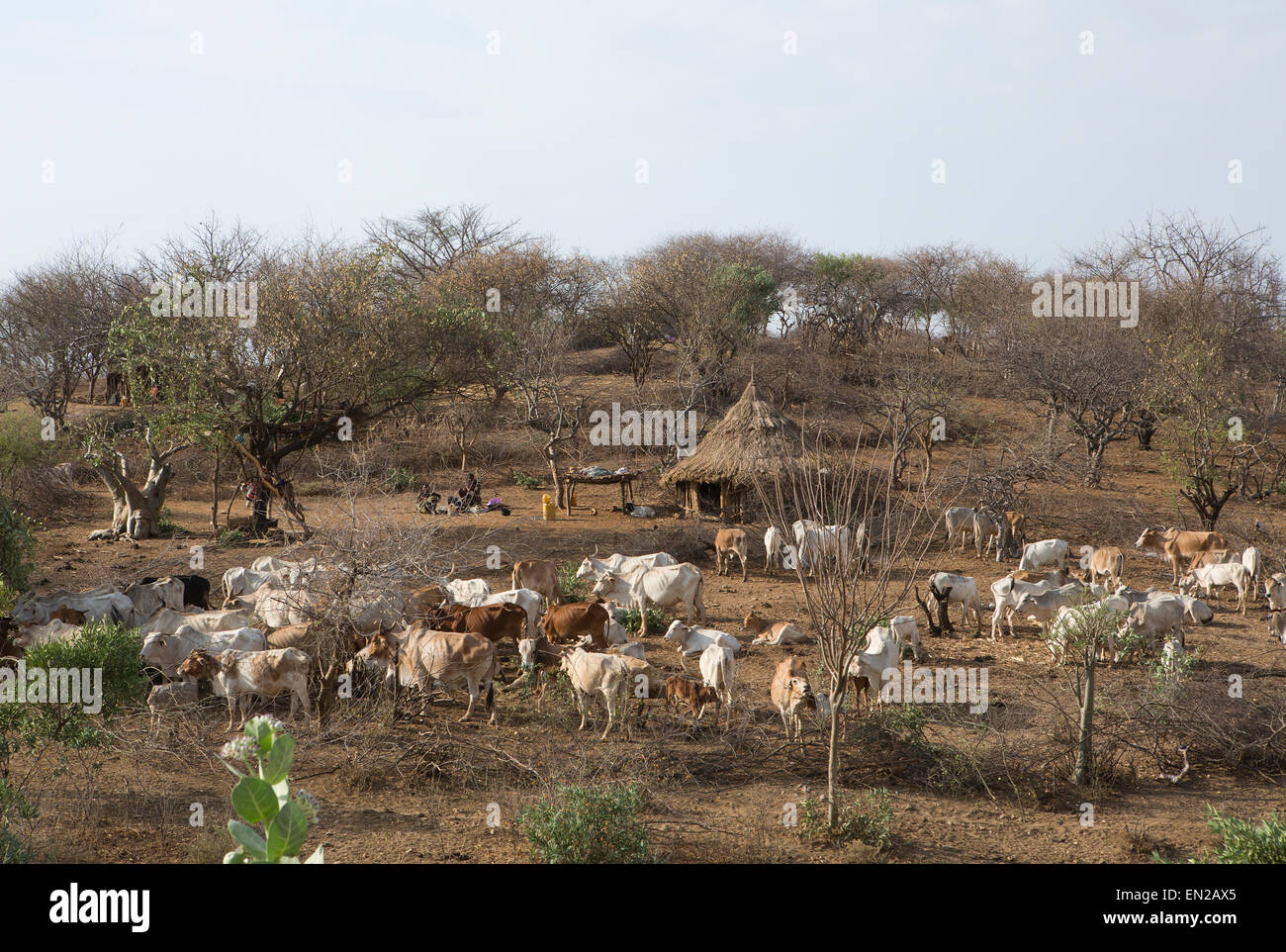 abore tribe in Ethiopia Stock Photo - Alamy