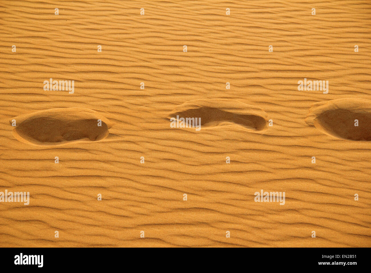 Red sand "Arabian desert" near Dubai, United Arab Emirates Stock Photo ...