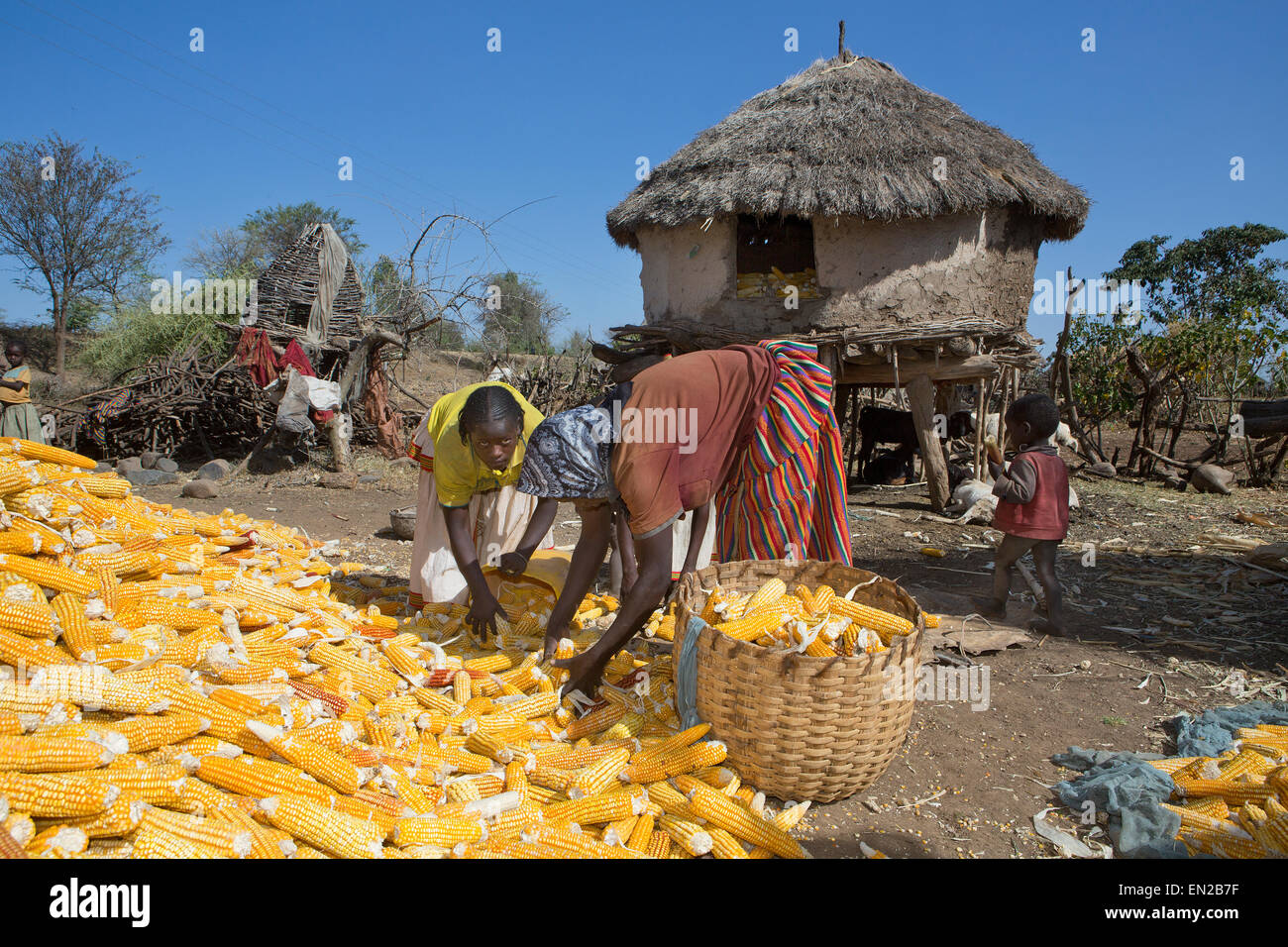 Ethiopia Farmer Women Stock Photos & Ethiopia Farmer Women Stock Images ...