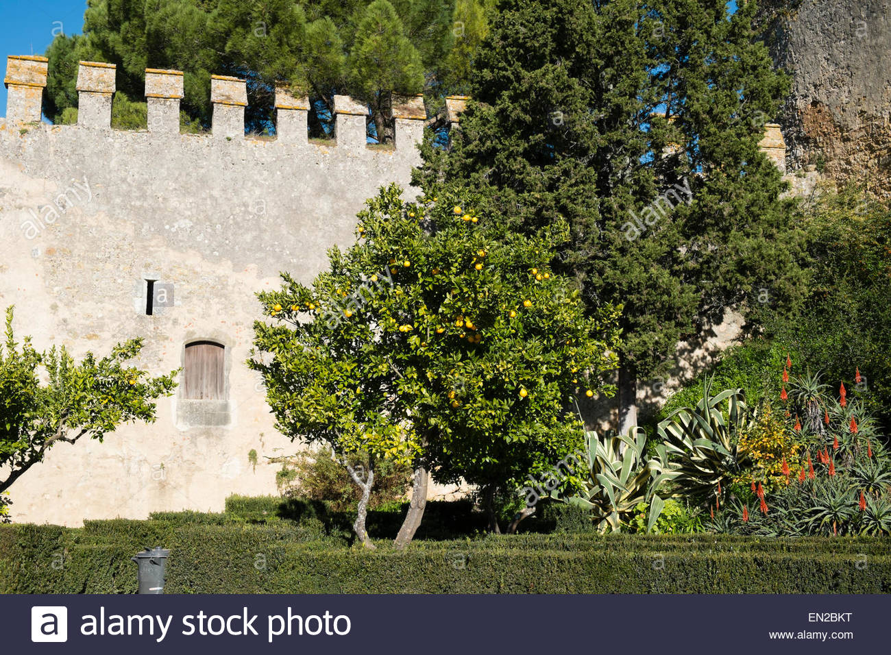Portuguese Fruit Trees High Resolution Stock Photography and Images - Alamy