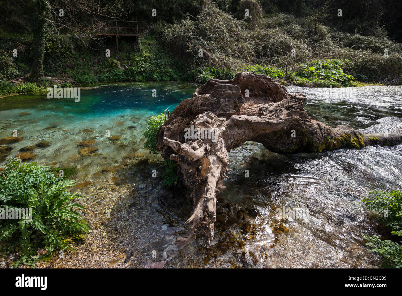 The Blue Eye spring emerging from an underwater cave in a river near ...