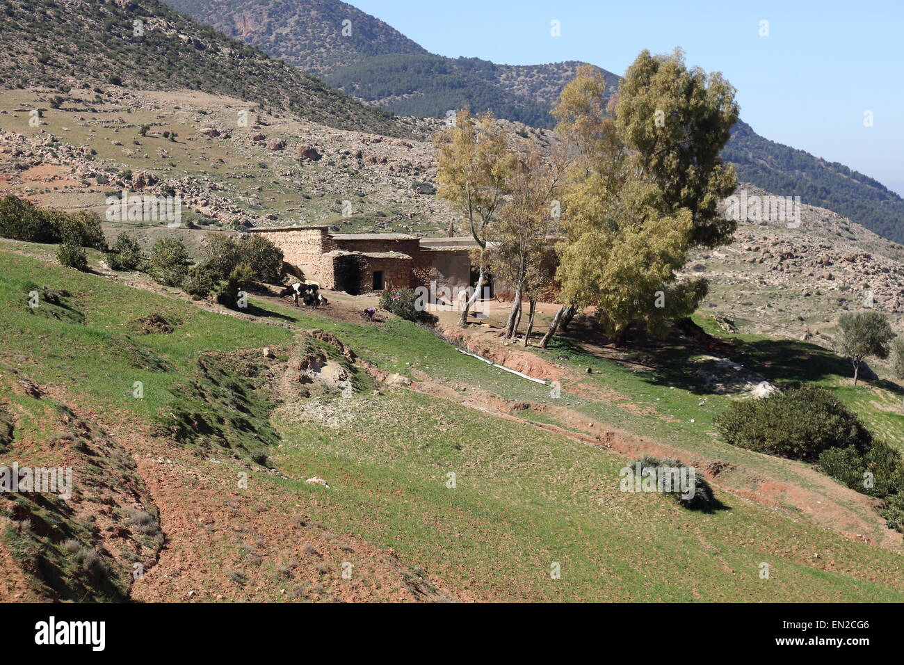 A Berber farm in the High Atlas Mountains in Morocco Stock Photo - Alamy