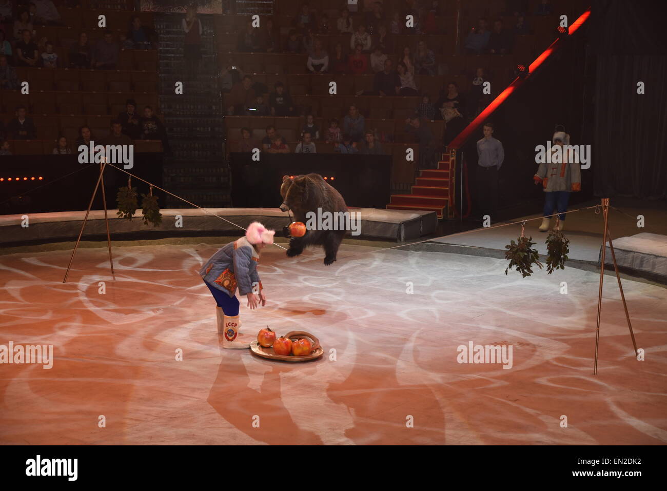 An animal trainer and bear in a circus routine for the Moscow Circus in ...