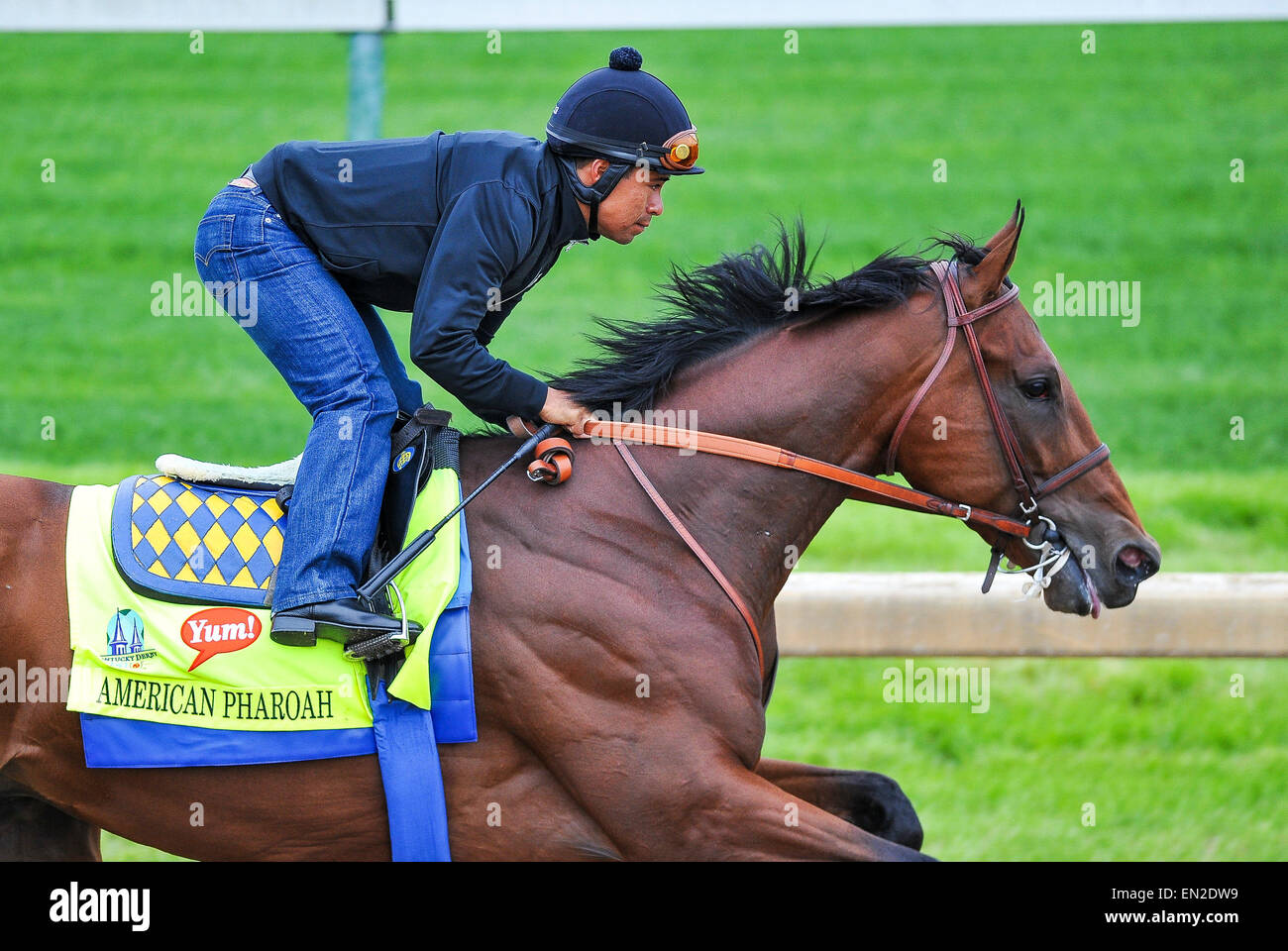 American pharoah kentucky derby 2015 hi-res stock photography and ...