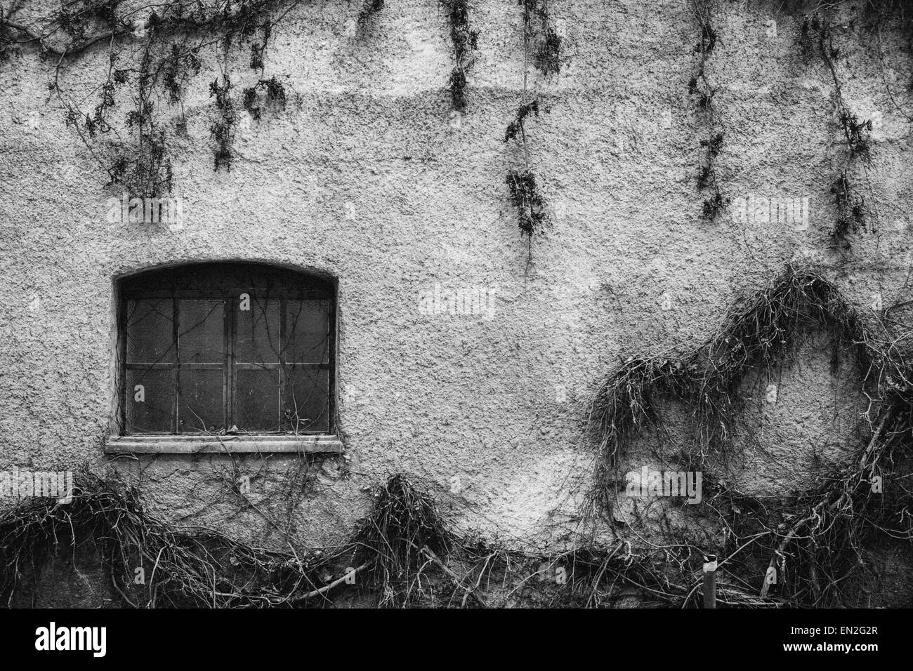 Old window in a wall Stock Photo - Alamy