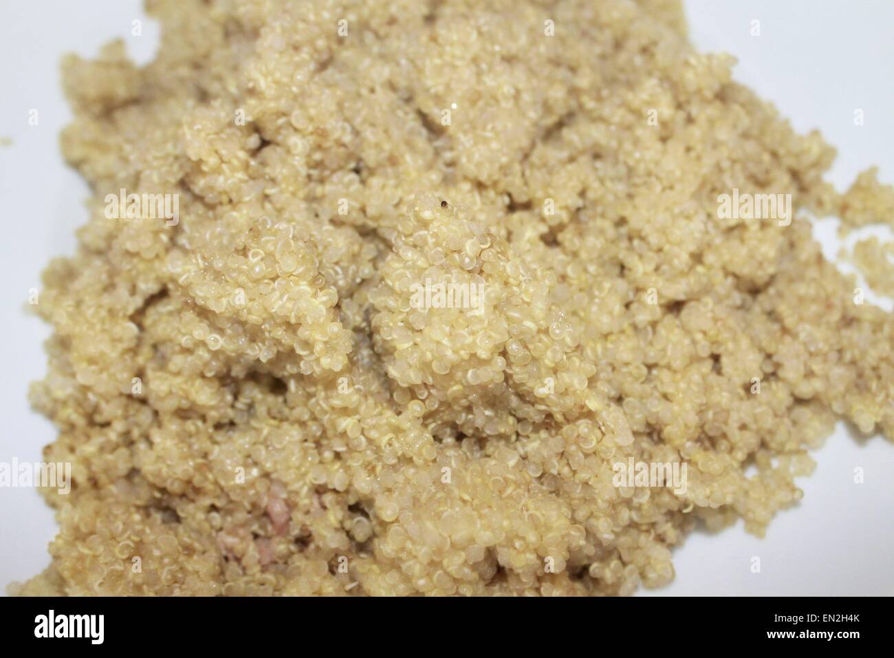 Cooked white quinoa Stock Photo - Alamy