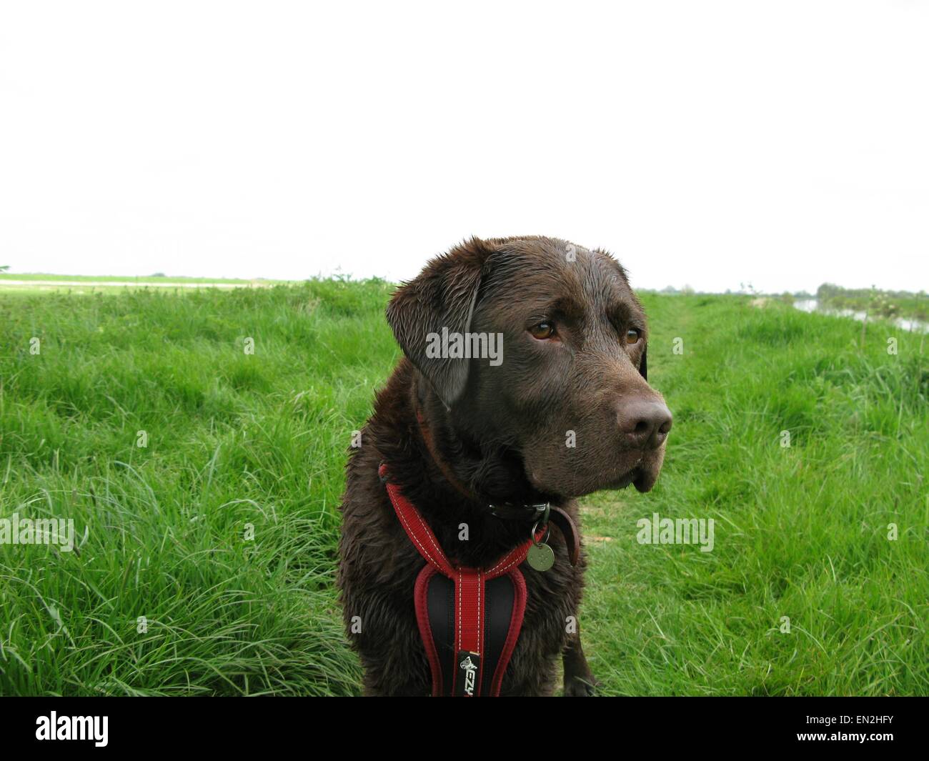 Prevent pulling hi-res stock photography and images - Alamy