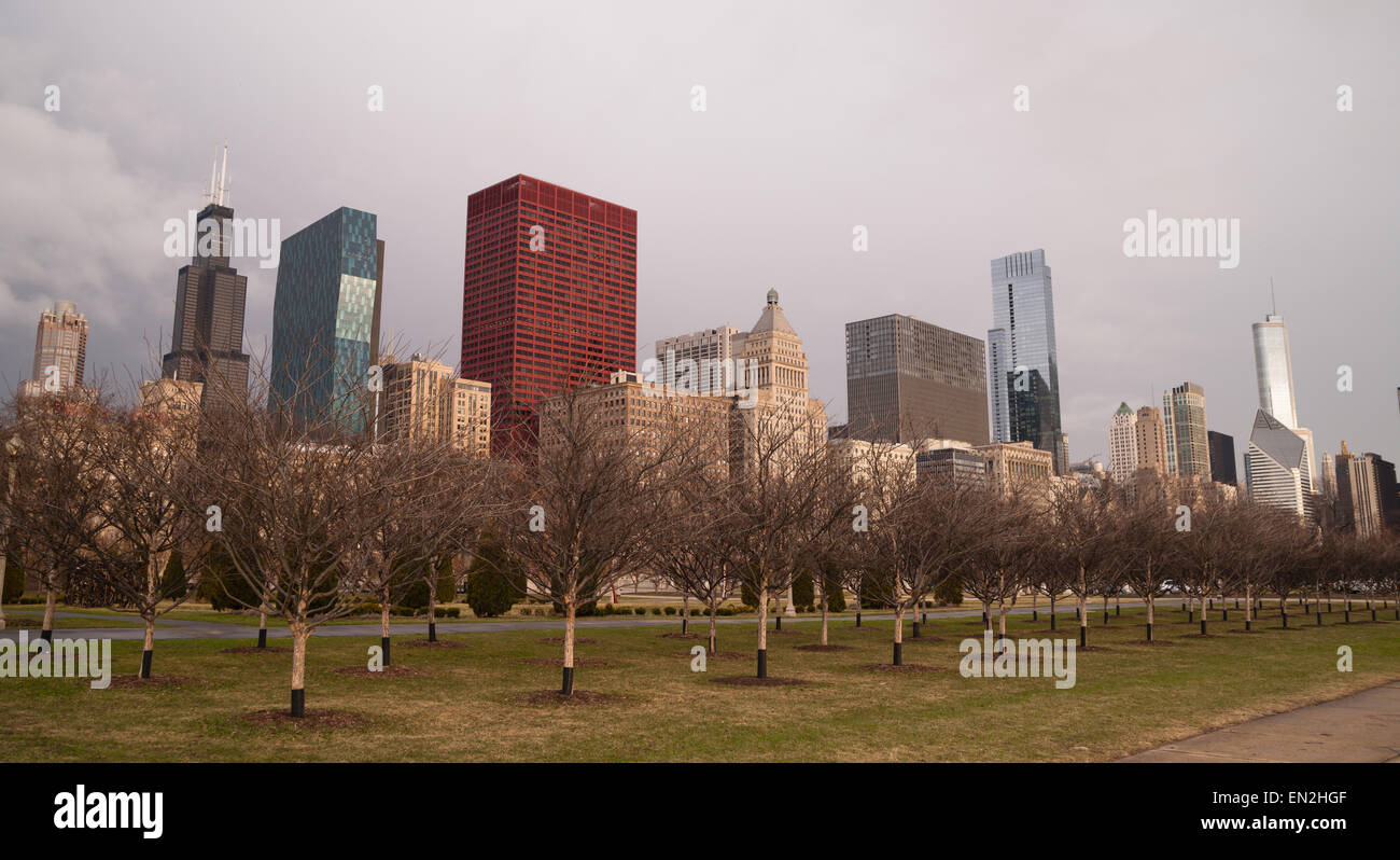 Trees planted by the city parks department will start flowering soon in ...